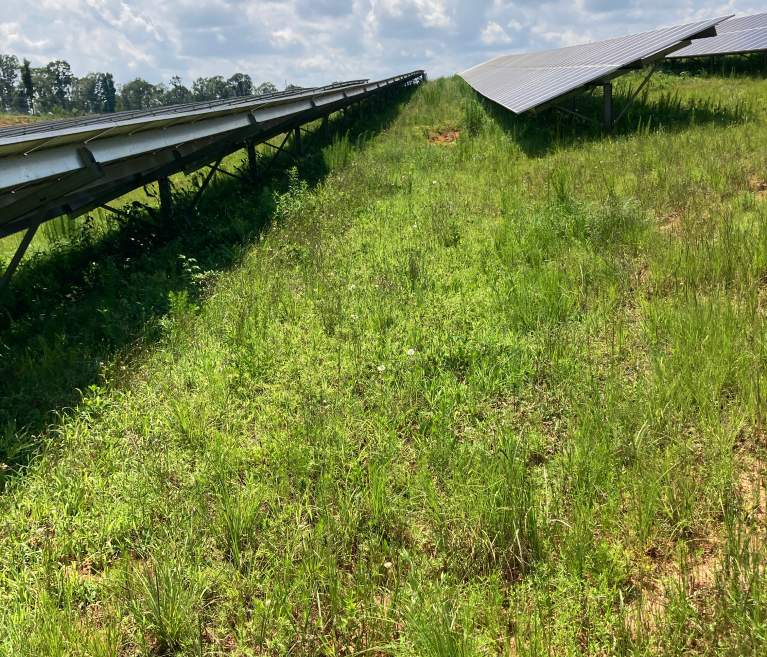 Advanced Power Solutions